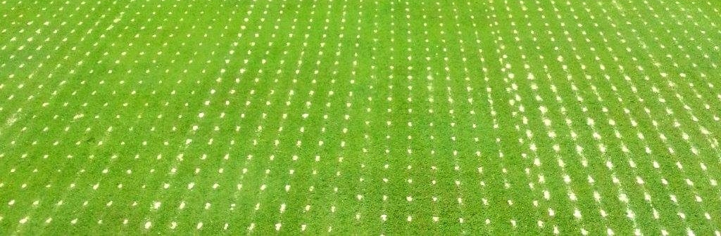 Aerification - Madera Municipal Golf Course